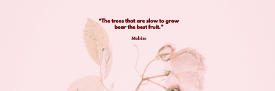 Free and Customizable X (Twitter) Header Templates - Snappa